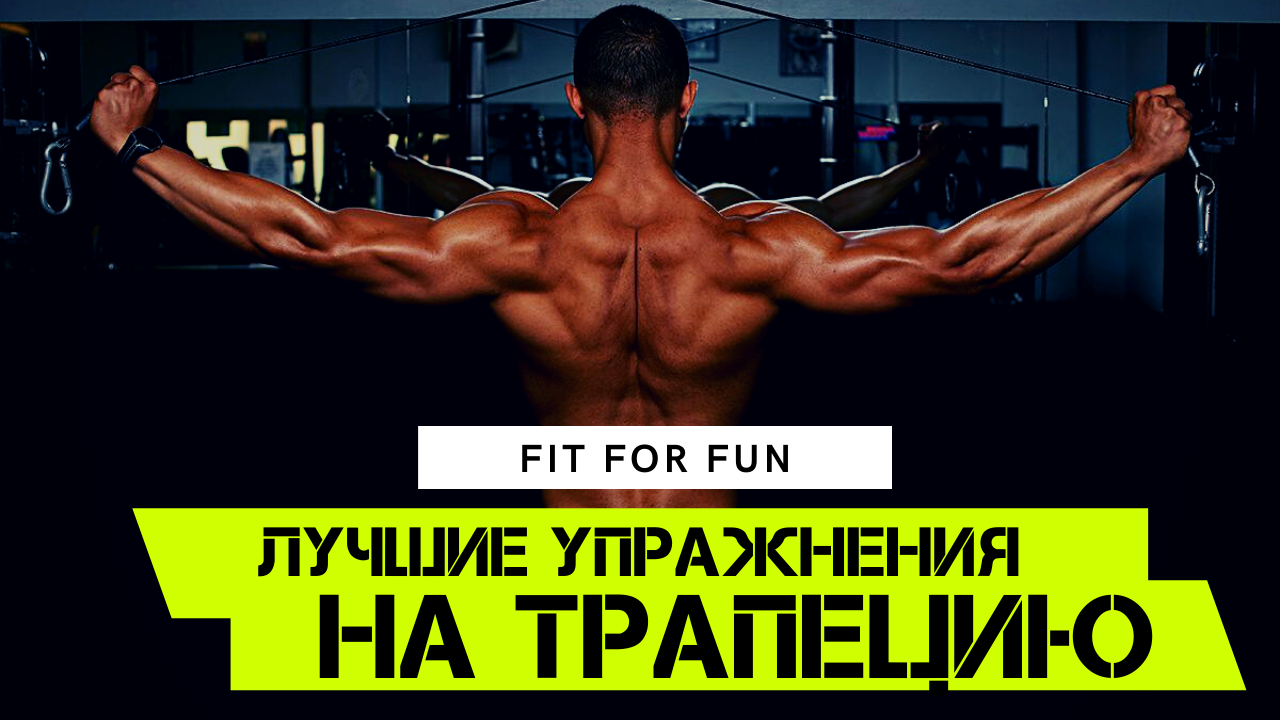 Как накачать трапецию, лучшие упражнения на спину для зала и в домашних условиях