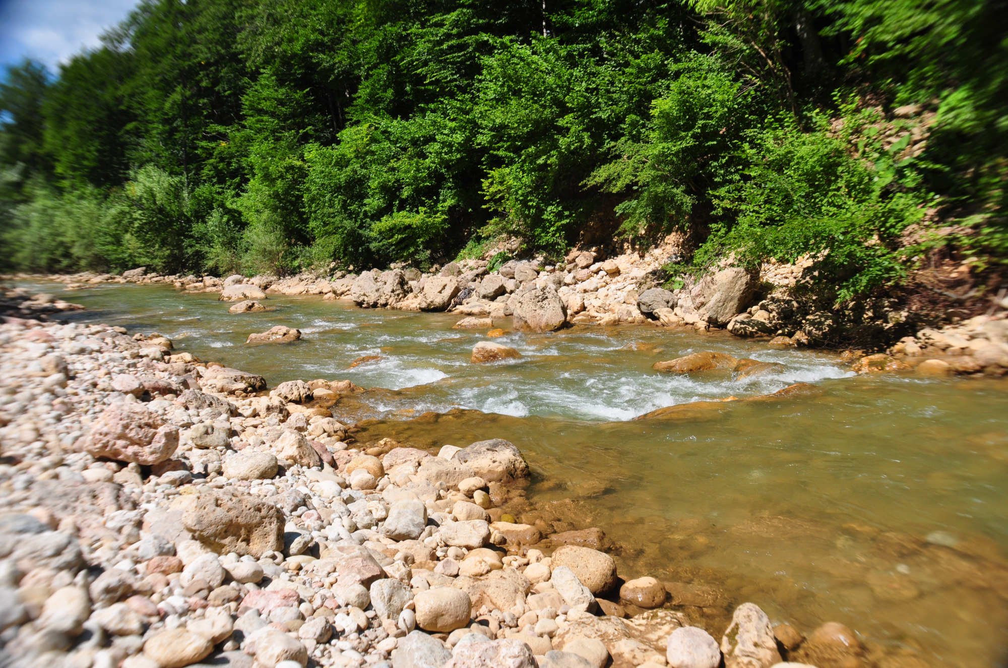 Лесная сказка, квест