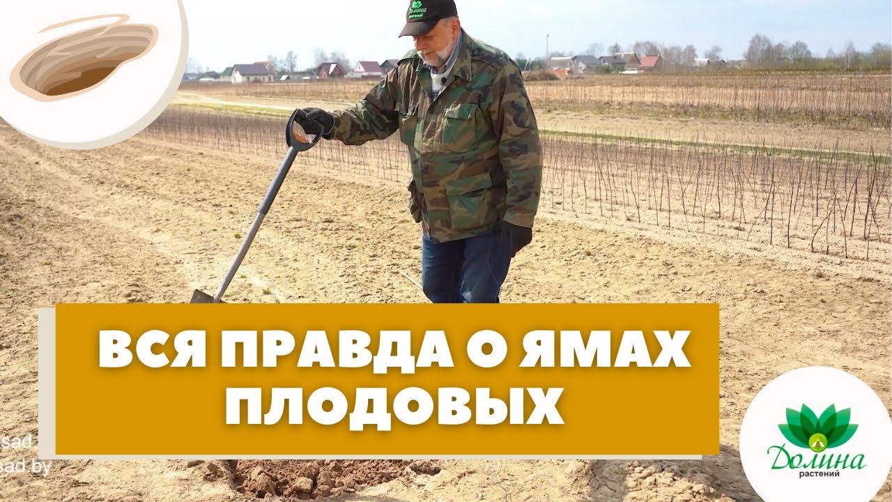 ?ДЕНДРОЛОГ РАССКАЗАЛ ПРАВДУ О ЯМАХ!! ?Для плодовых деревьев и кустарников?