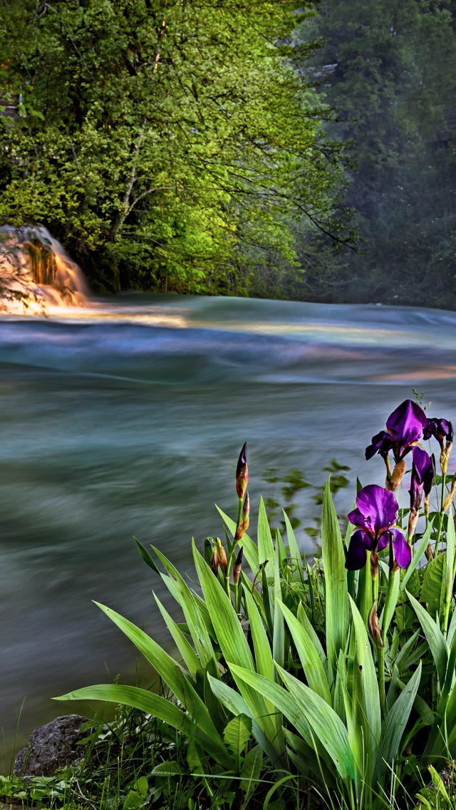💕🌞 С добрым утром, днём!