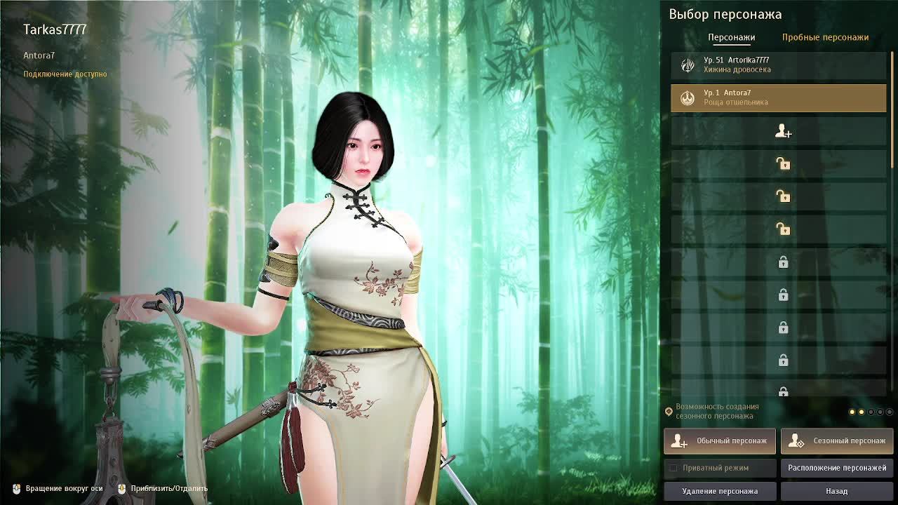 Black Desert - прохождение #1