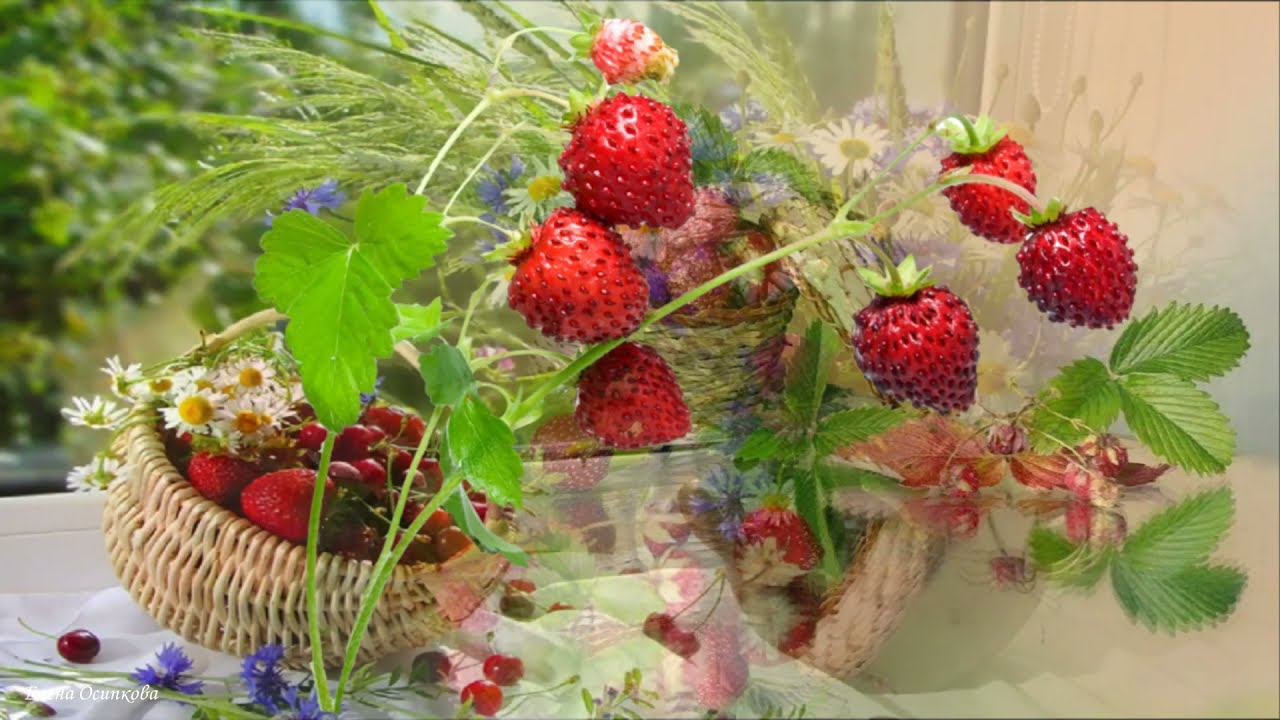 Аромат ушедшего лета