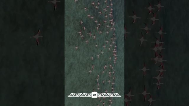 Кеш батты, қалың ойдың ішіндемін