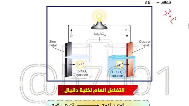 الفصل الرابع - المحاضرة 4