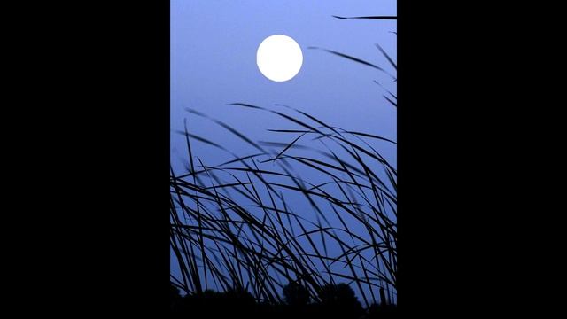 Библия. 54-08. Евангелие по Иоанну (08). Иисус же пошёл на гору Елеонскую.