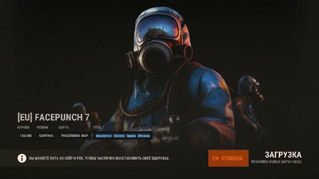 Играю в Rust, CS2.