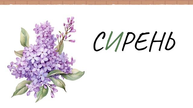 109-111.Род имен прилагательных