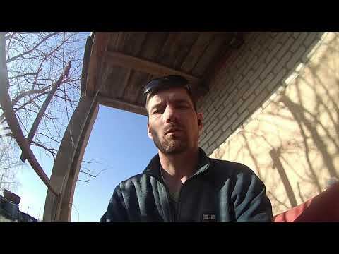 Как избавиться от корней сливы, вишни.