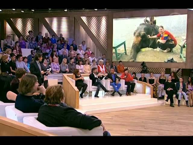 Толстые в моде - прикол или тренд? Комплексы Успех