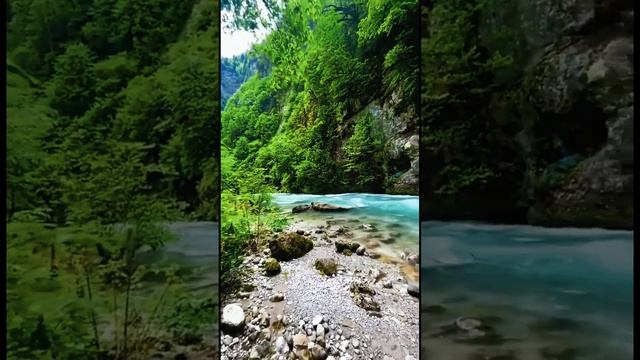 Горная река. Абхазия #shorts