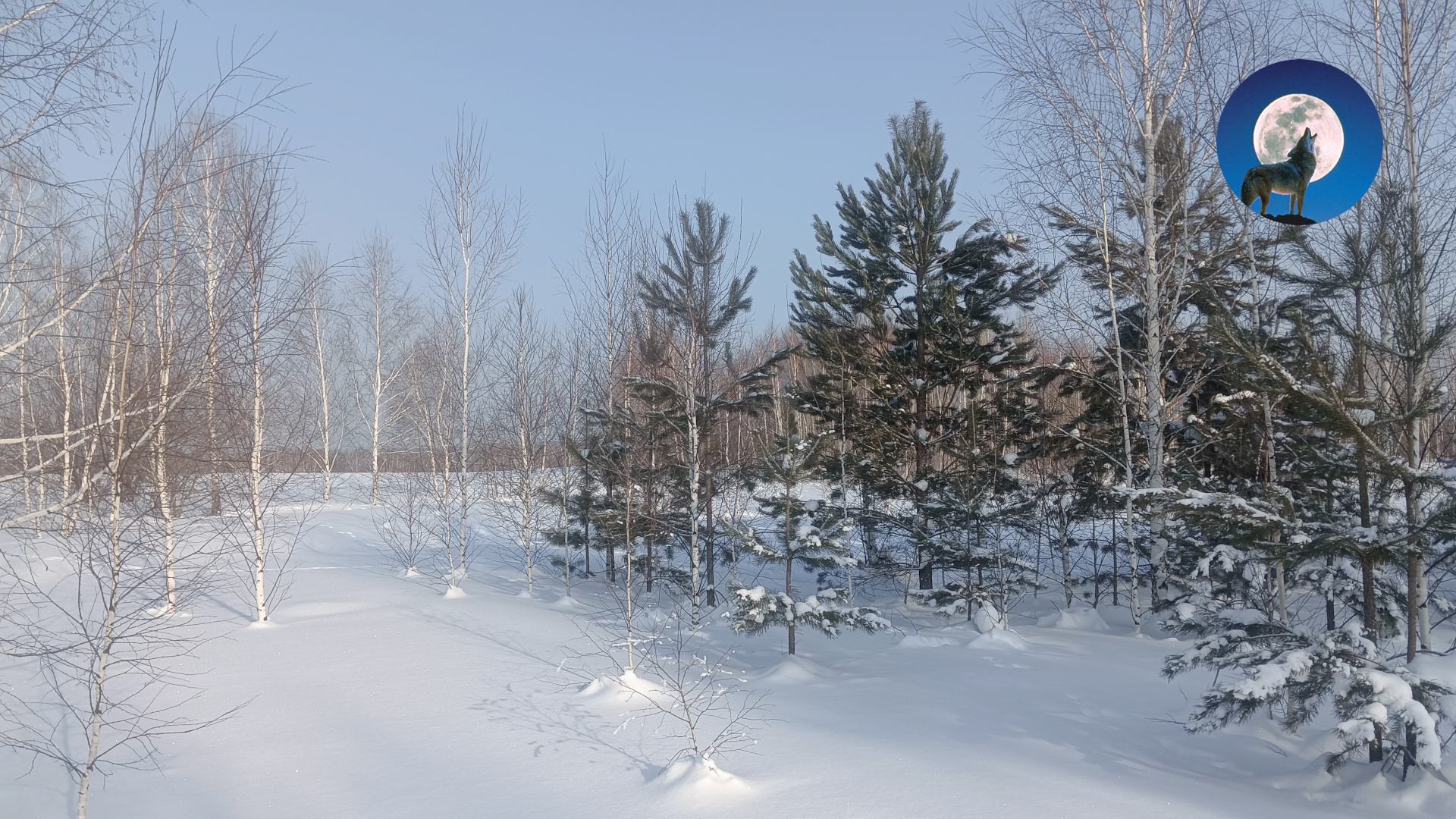 ОХОТА НА ЛУНКАХ * БРИТЫЙ РЯБЧИК * ЗАЯЧЬИ КАЗЕМАТЫ