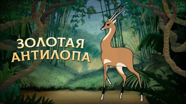 Индия. "Золотая антилопа". Библиотека №14