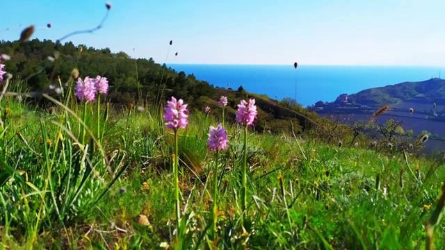 Над обыденностью и суетой