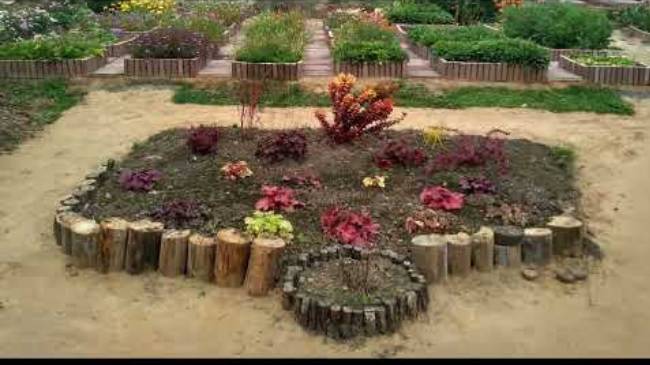 Клумба с необычным обрамлением в виде спилов деревьев.
