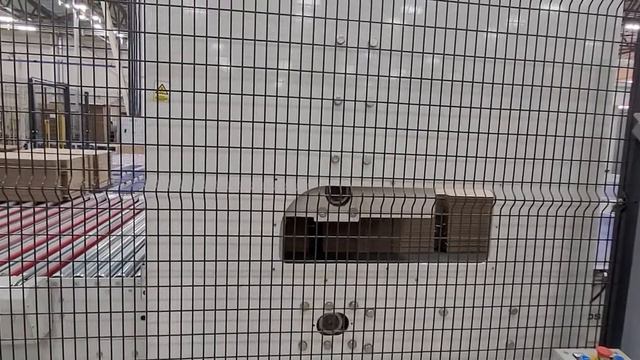 FOSSALUZZA Вакуумный стакер 1 Двойной палетайзер 2