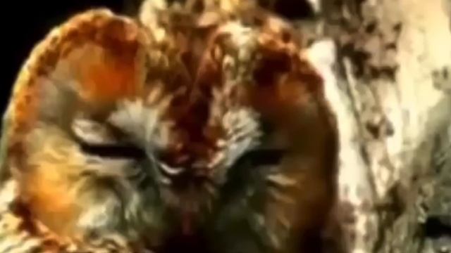 # старославянские приметы # с 27 по 30 сентября #