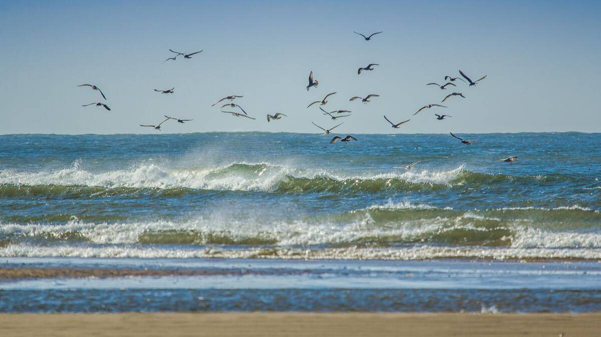 Шум моря и крики чаек. Успокаивающая музыка.