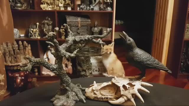 СОБАЧЬЯ КРОВЬ. ГИБЕЛЬ РОДА ▶️ ВЕДЬМИНА ИЗБА - ИНГА ХОСРОЕВА.