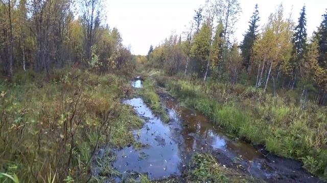 ЕДУ НА РЫБАЛКУ В ГЛУХУЮ ТАЙГУ. 1 серия.  _Поход ХАРИУС, осень 2021_ (1).mp4