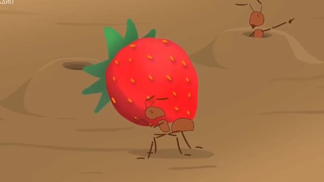 все животные живёт сообществоми Чудеса Коран
(1 Часть)