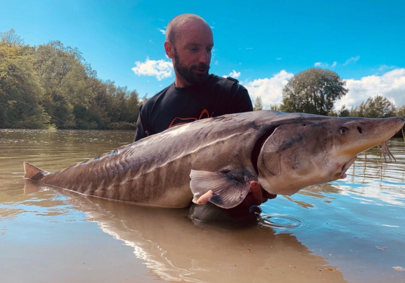 201.Волжский гигант. РР 3 Bear.mp4