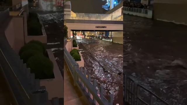 VID_20221228_193624_957.mp4