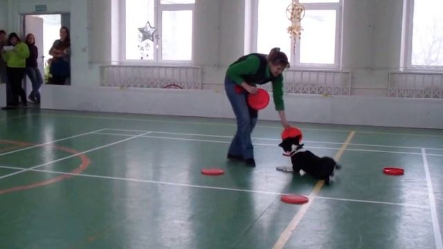 Показательные в интернате. Юля и Пегас.mp4