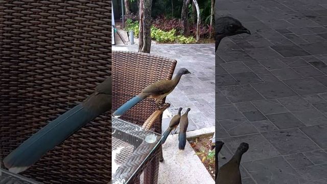 MovaviClips_Video_20211111-180736.mp4