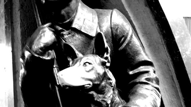 Canon EOS RP - Первый взгляд.