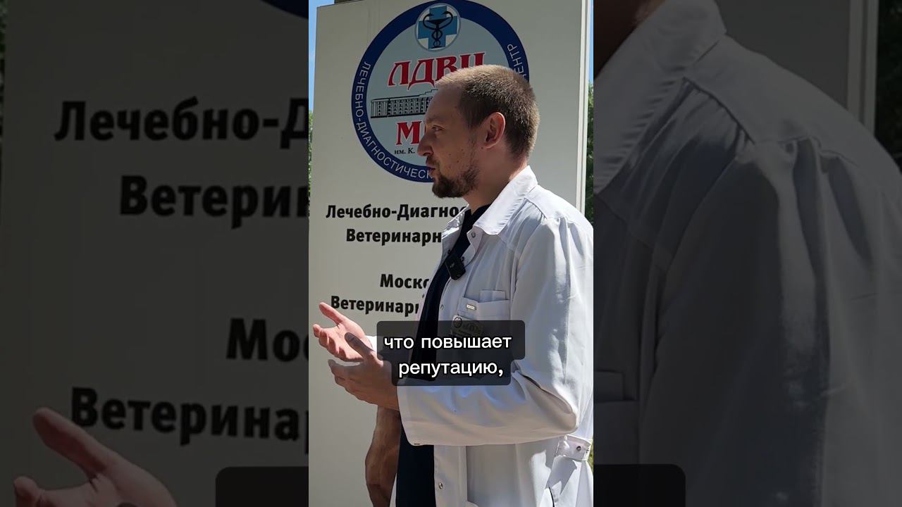 Отзыв клиента | Ветеринарная клиника «ЛДВЦ МВА» #shorts