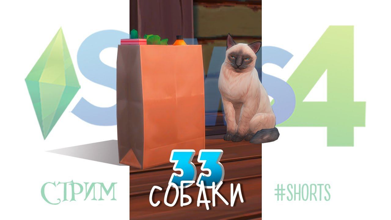 33 СОБАКИ. Стрим #9 #SimS4 #shorts