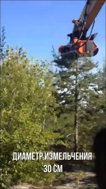 Forster UM - мульчер на прокладке просеки #mulcher #форстер