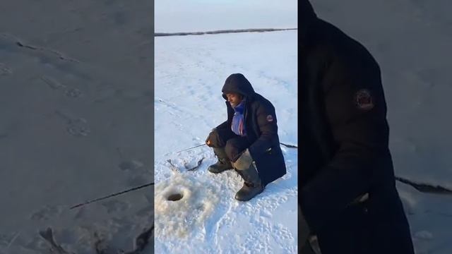 Мега Рыбак  Рыбалка Севера.