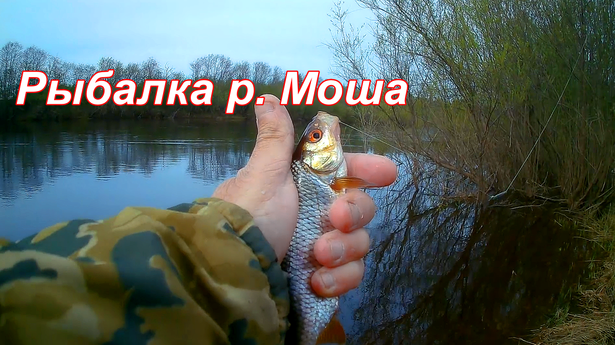 РЫБАЛКА на реке МОША с Николаем Лысковым