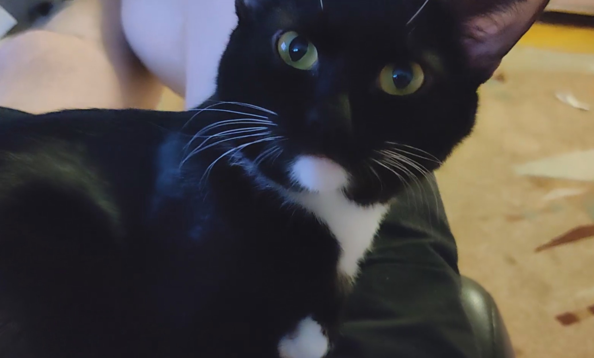 14. Из жизни Маруси. Разговор по душам.mp4