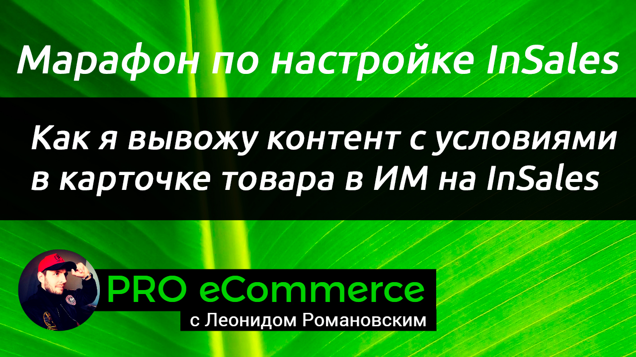 Как я вывожу доп. информацию о товаре с условиями в ИМ на InSales