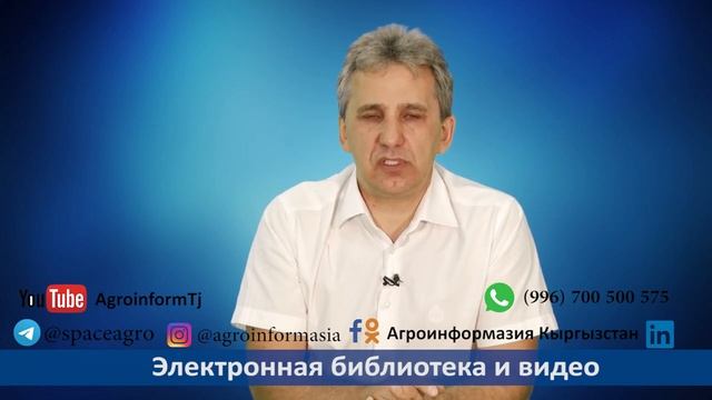 10 выпуск Электронная библиотека и видео