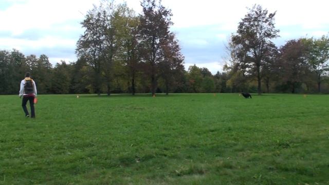 Чемпионат России. Фризби-Фристайл. Анастасия и метис Белка..mp4