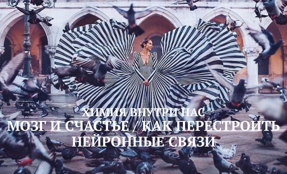 МОЗГ И СЧАСТЬЕ / КАК ПЕРЕСТРОИТЬ НЕЙРОННЫЕ СВЯЗИ