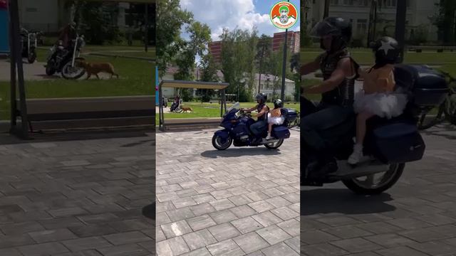 29.06.2024 Выезд Мототерапии в Щёлково