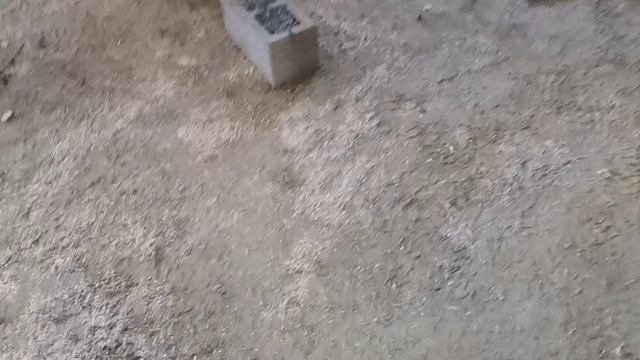 дом ? арболит. вопрос знатокам.