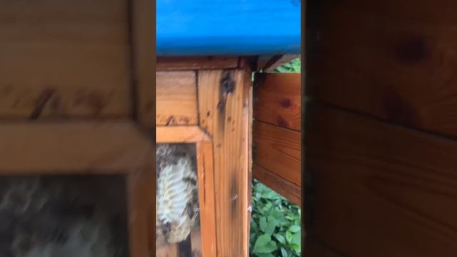 Твори добро от души, а деньги приложатся