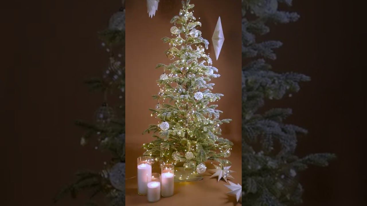 CRYSTAL TREES | Ель "Больери"