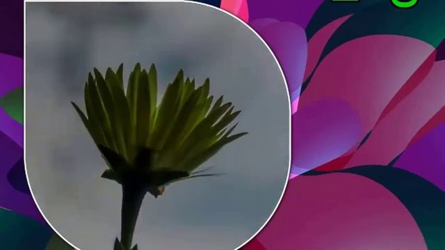 Оригинальное поздравление с Днем рождения 17 лет мальчику, парню, юноше