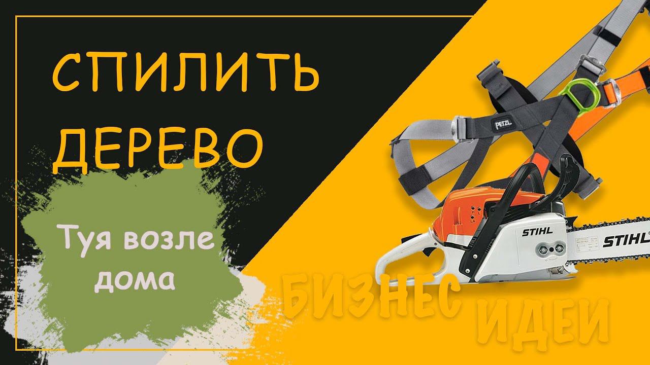 Спилить дерево Туя возле дома