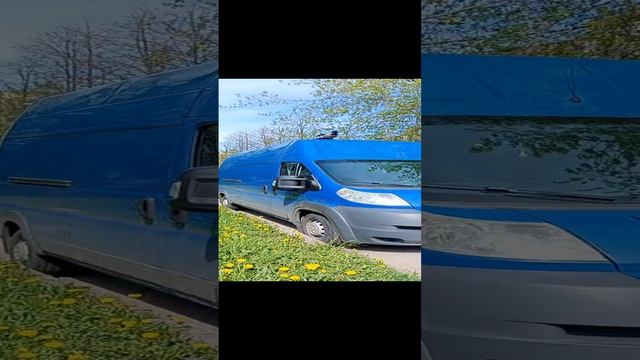 Павловск , СПБ ПИТЕР ТИПИЧНЫЙ ПИТЕР ЛЕТО ПРИРОДА