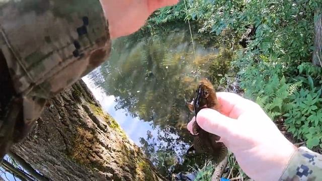 Путешествие по ТРЕМ водоемам.mp4