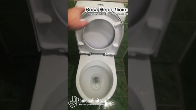 Замена унитаза в Москве - Rosa Неро Люкс Горизонтальный Выпуск с доставкой и установкой Под Ключ