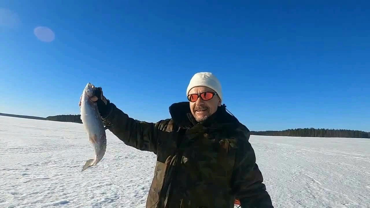 Сегозеро. Три дня рыбалки и отдыха. Хариус, форель