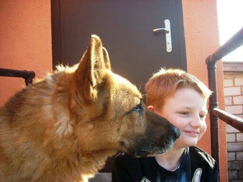 Наши питомцы(фото из домашнего архива)